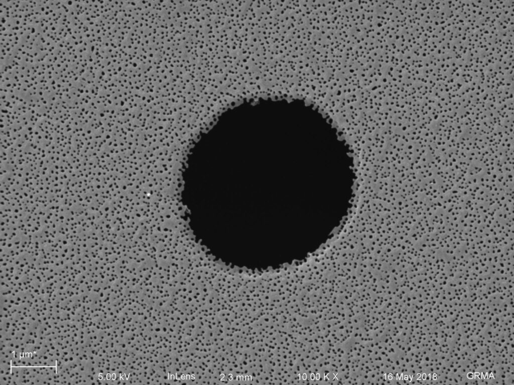 Dual-Scale Micro+Nanoporous Membrane Chips - SiMPore