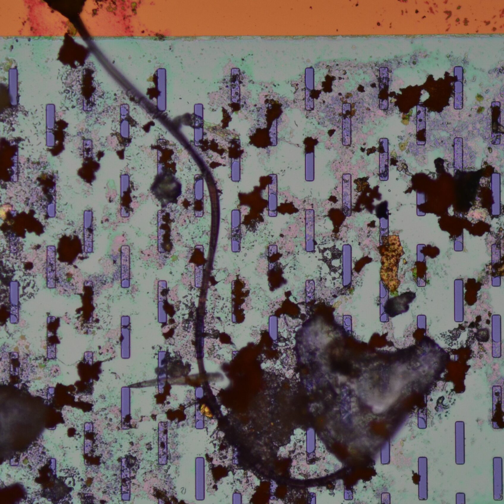 How to Test for Microplastics | Microplastic Analysis| SiMPore