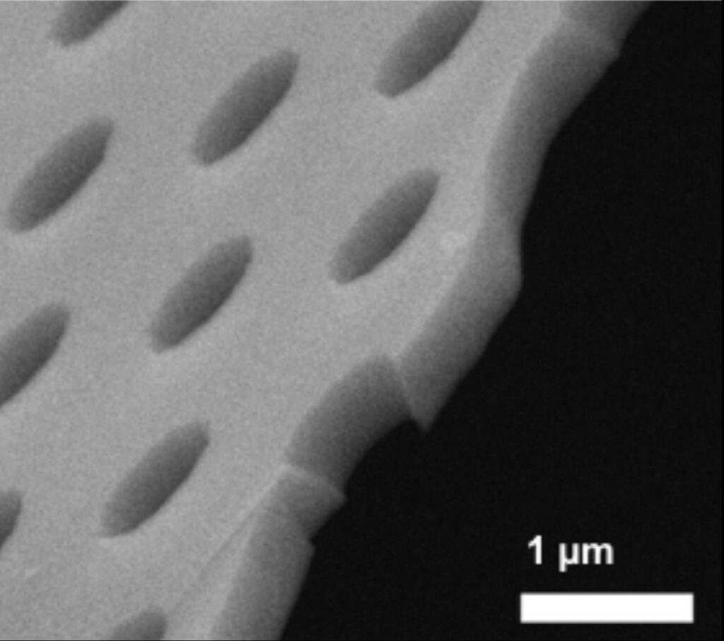 Microporous Membrane Chips - SiMPore